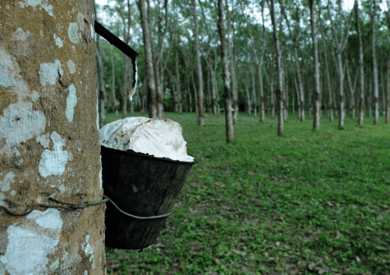 Industri Getah Malaysia - Suara Risda