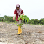 Industri Getah Malaysia - Suara Risda