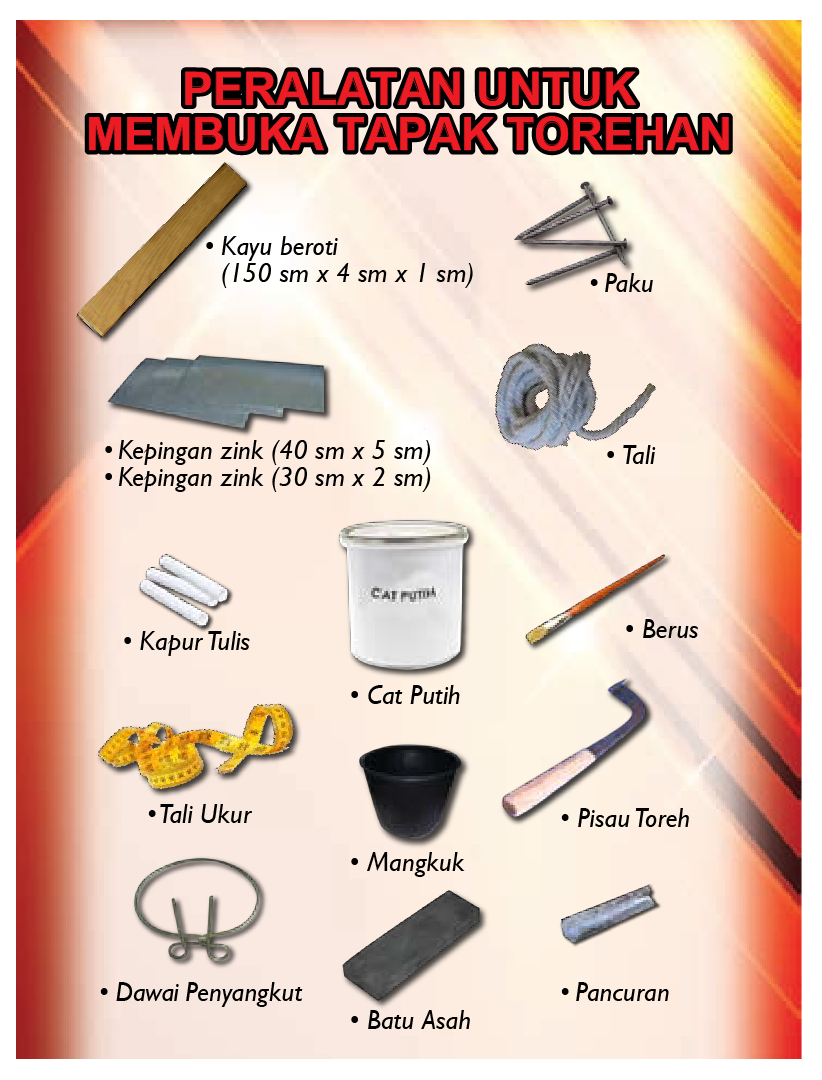 Teknik Penorehan Getah yang Betul - Suara Risda