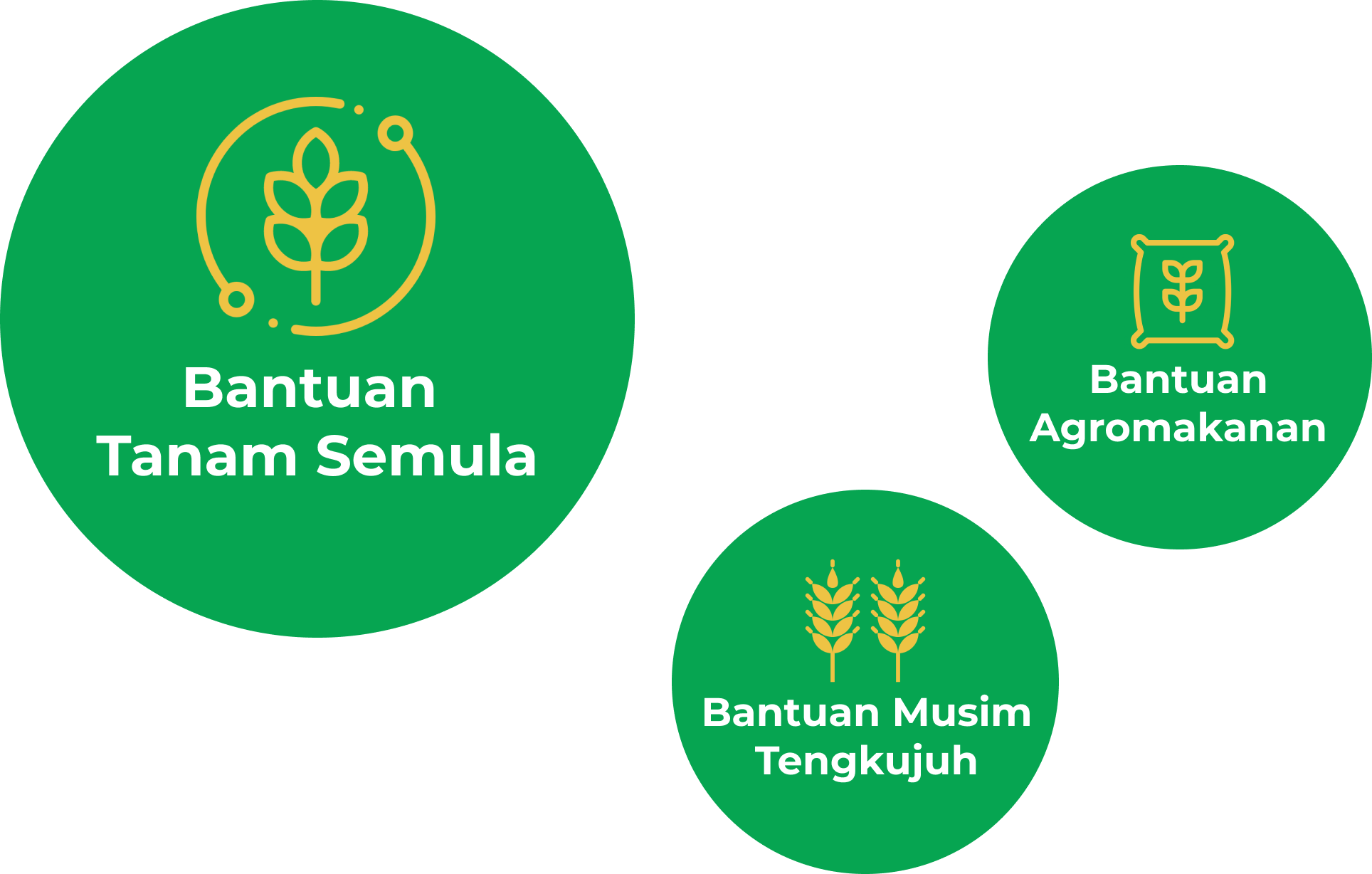 Portal Informasi Rasmi - Suara Risda